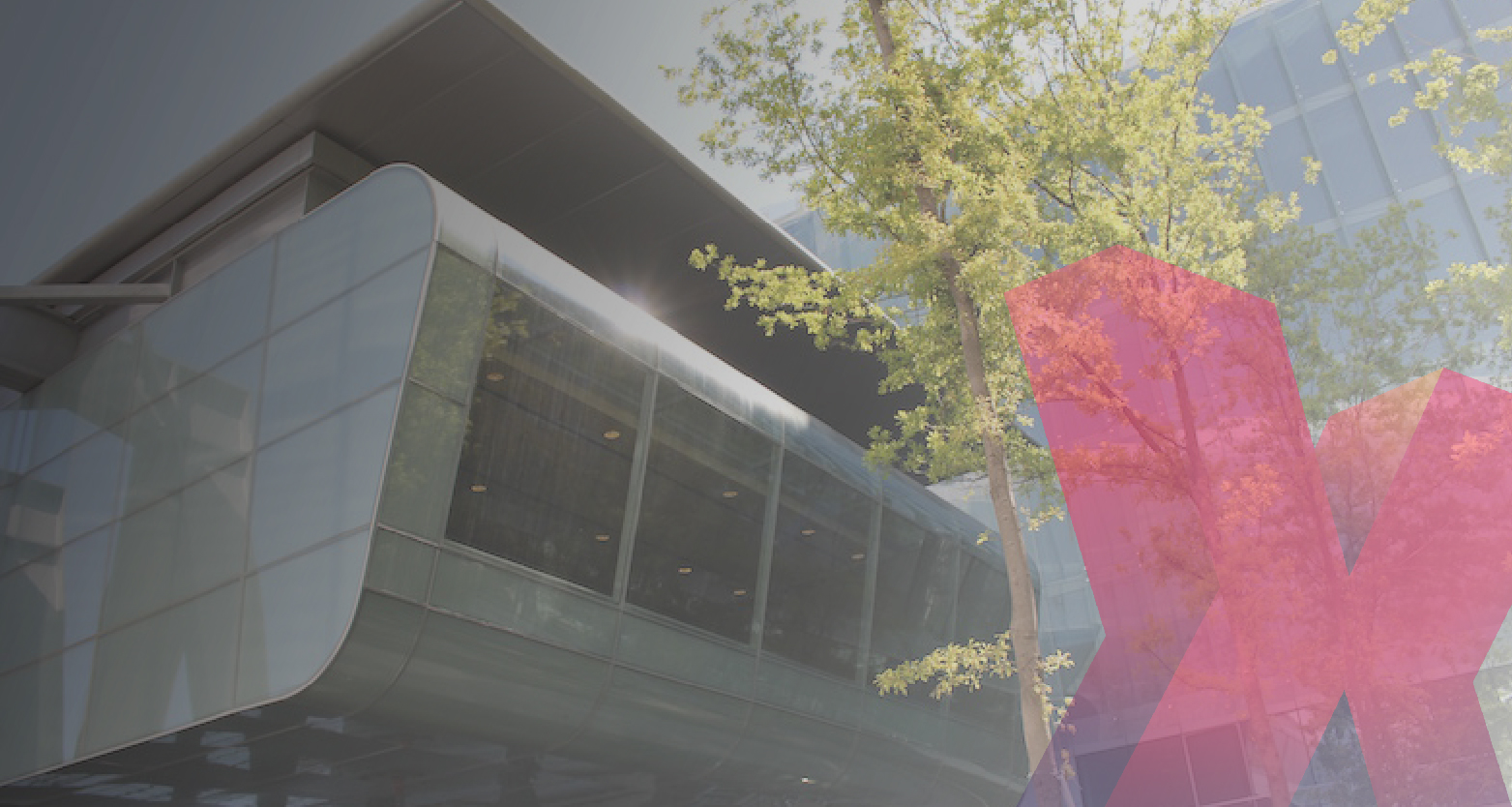 | Caja los Andes - Virtual Labx